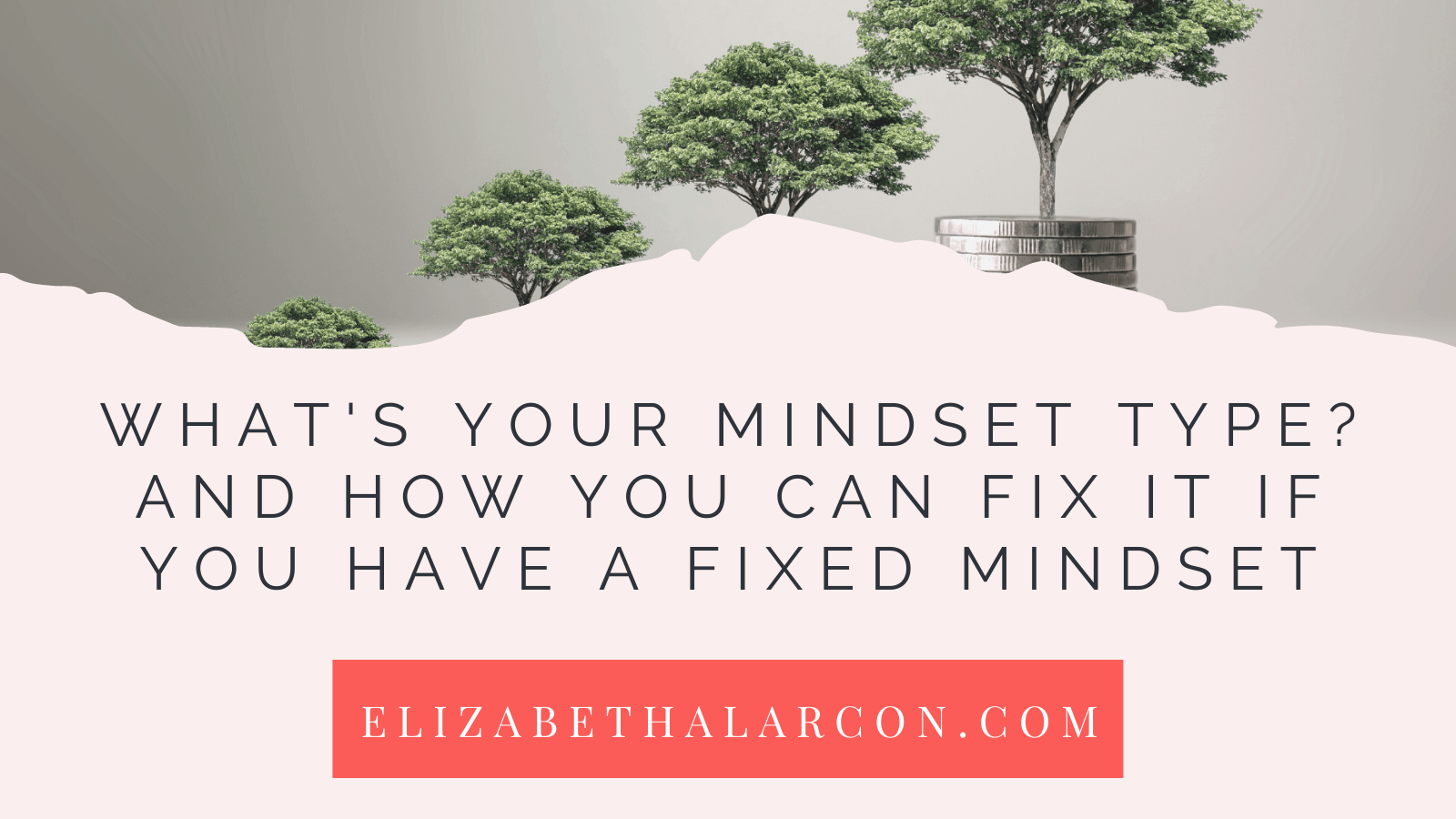 What's Your Mindset Type? And How You Can Fix It If You Have A Fixed ...